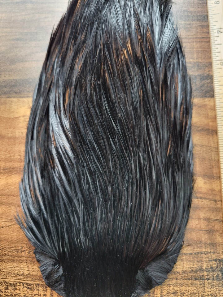 Lot 542, Dyed BLACK India Rooster Streamer Neck Cape Feathers Tying ...