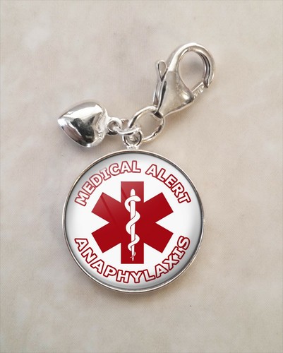 Anaphylaxis Medical Alert 925 Sterling Silver Charm | eBay
