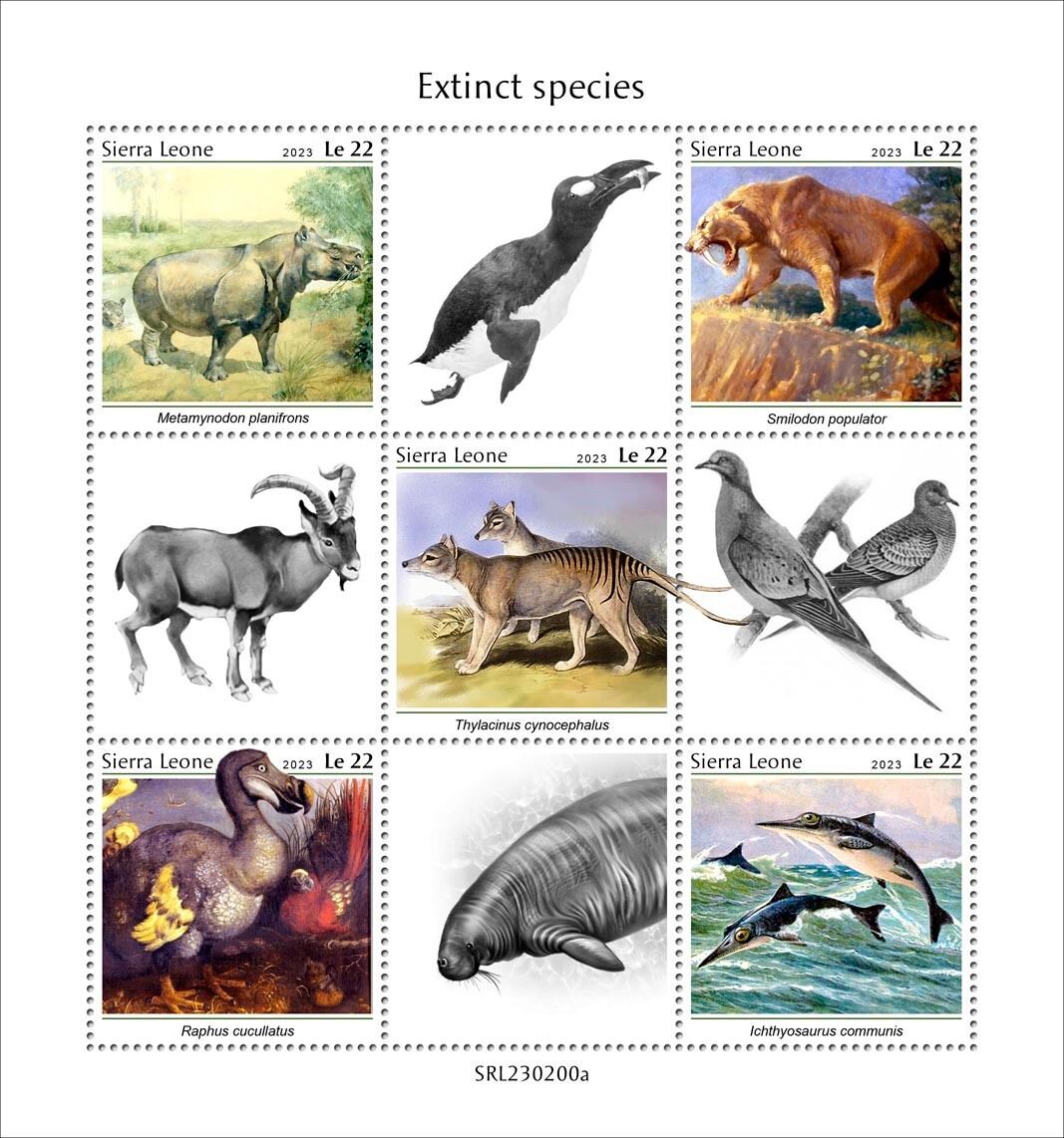 Extinct Species 15 Rarest & Critically Endangered Animals On Earth