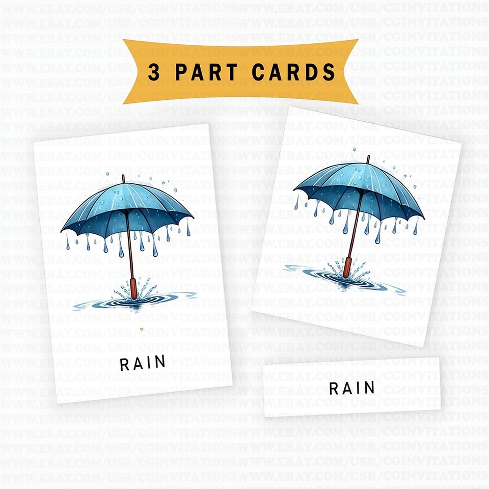 12 Educational Weather Flash Cards | Fun and Interactive Learning Tool ...