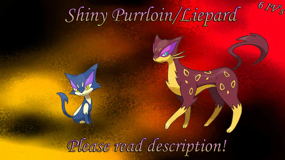 Purrloin Evolution