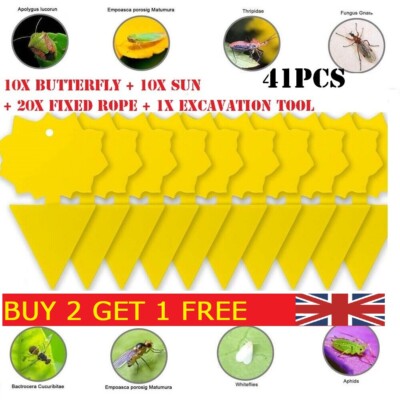 Yellow Sticky Fly Traps Paper Stickers Catchers for Insect Fungus Gnats ...