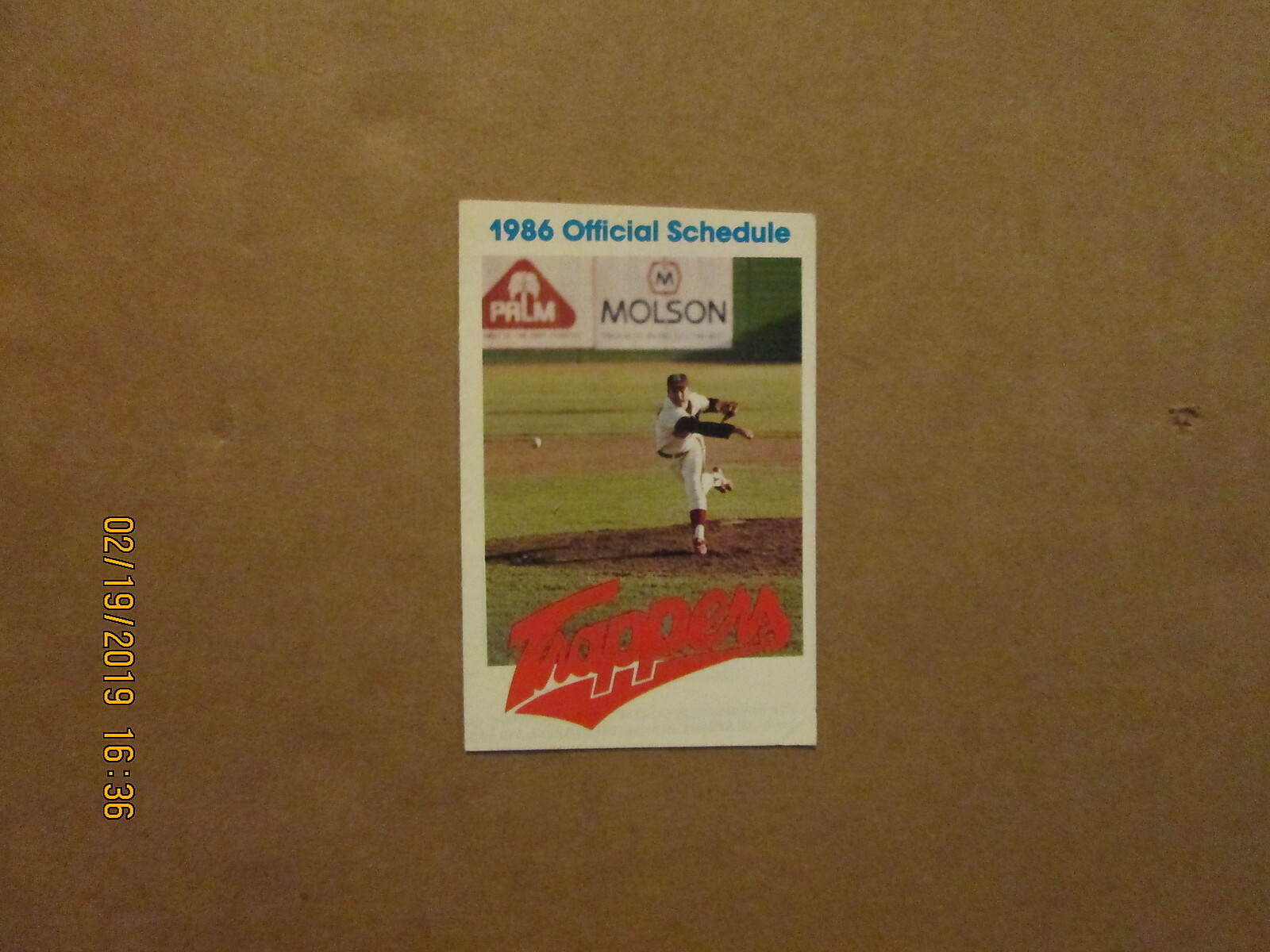 Edmonton Trappers Vintage Defunct 1986 Team Logo Baseball Pocket ...