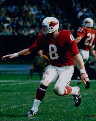 Larry Wilson St. Louis Cardinals NFL Football Unsigned Glossy 8x10 ...