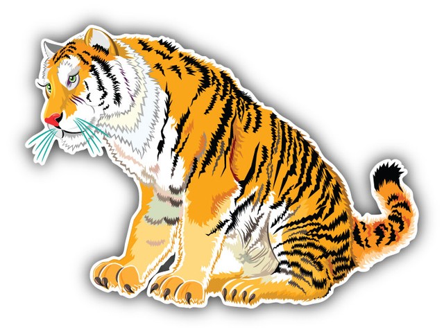 Tiger Animal Car Bumper Sticker Decal - ''SIZES'' | eBay