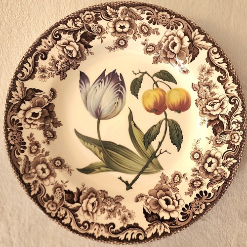 Spode Plate Woodland Garden Delamere Brown Border Dinner Porcelain 10. ...