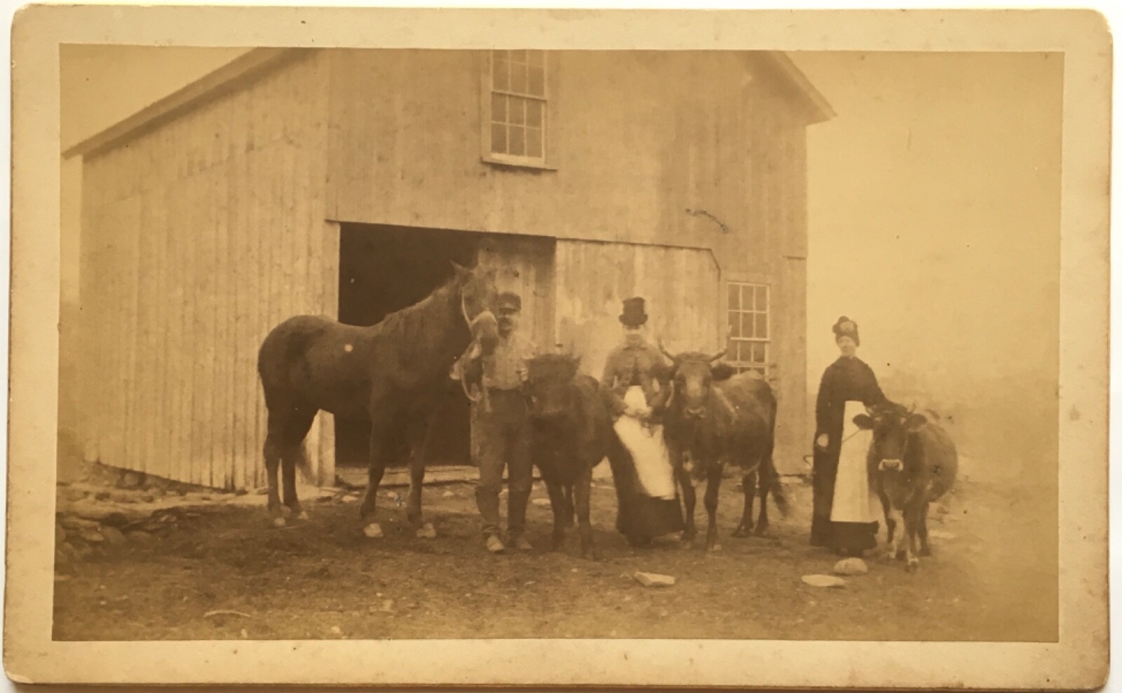 Antique Old 19th Century 1880s Original Cabinet Photograph Farm Horse ...