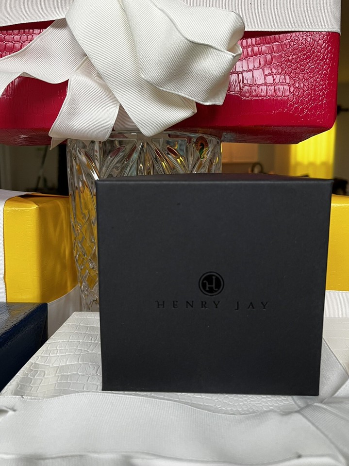 Henry Jay Professional Dive Watch | eBay