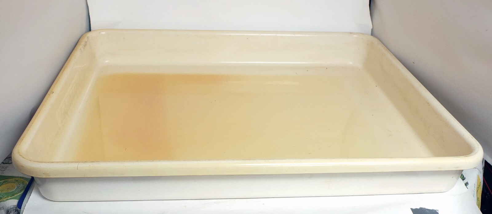 Large Plastic Developing Trays 12x15" 16x20" Darkroom Generic Richard Cesco | eBay