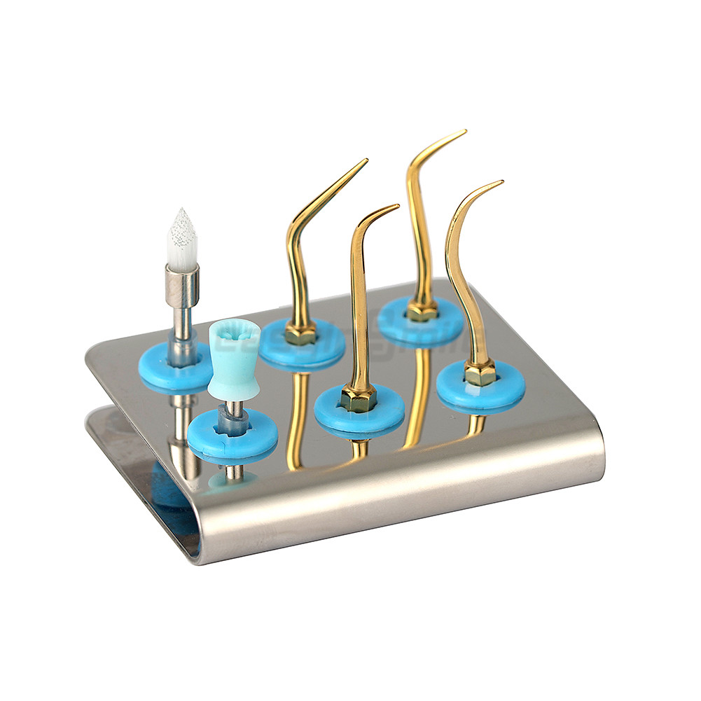 6 Hole EASYINSMILE Dental Scaler Tip holder Stand &Cover Fit EMS/NSK ...