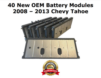 40 Brand New OEM Original Modules for Chevy Tahoe Hybrid Battery 2008 ...