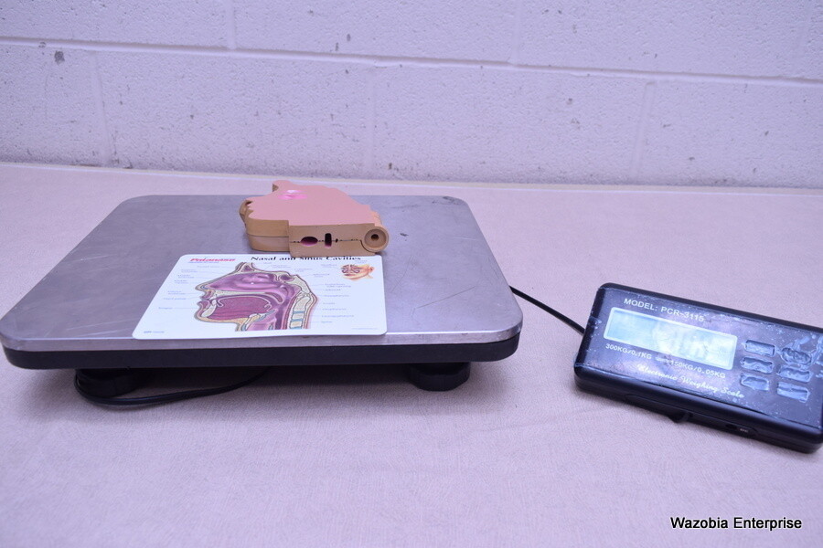 PATANASE NASAL AND SINUS CAVITIES | eBay