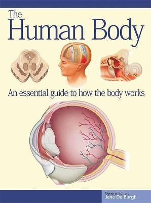 The Human Body (Expert Guides) by De Burgh, Jane 9781592237364 | eBay ...