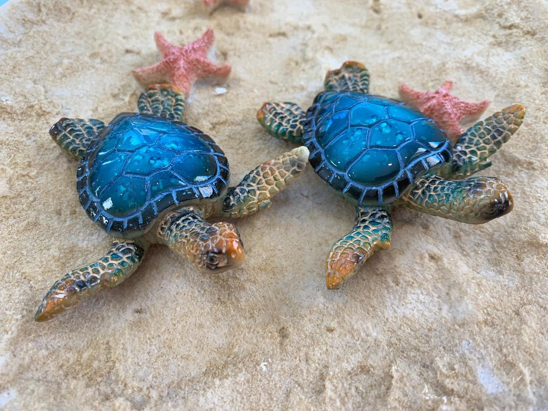 Colorful Sea Turtles Sea Turtles Painted Throughout The Years! The Top