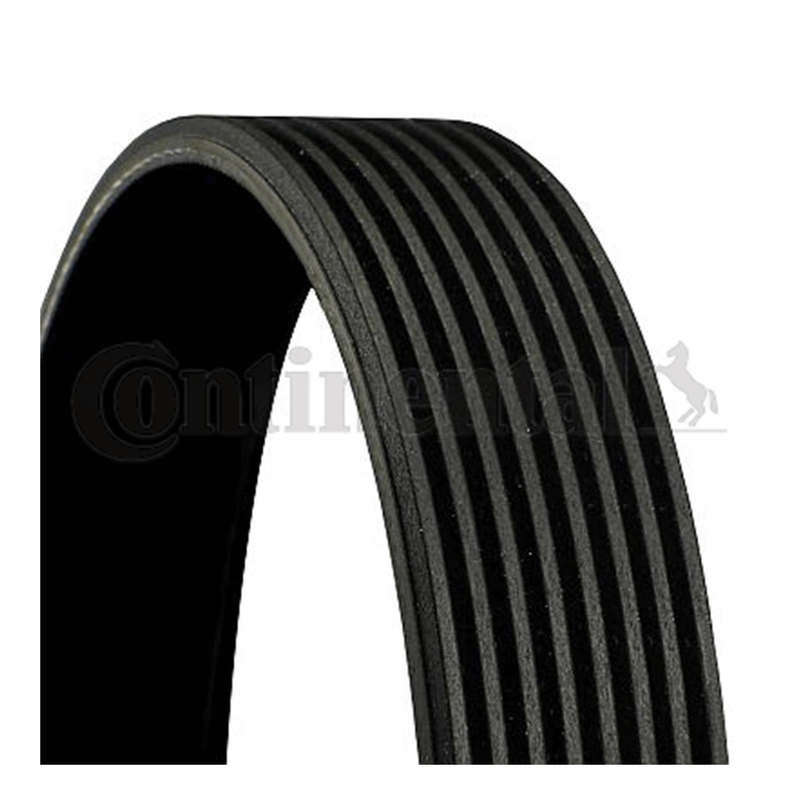 8 Rib Multi V Drive Belt 8PK1427 ContiTech A9069937196 9069937196 ...