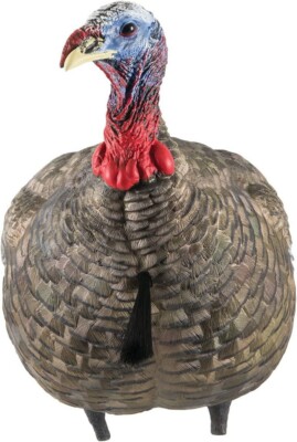 Avian-X LCD Quarter Strut Jake Lightweight Turkey Hunting Decoy ...