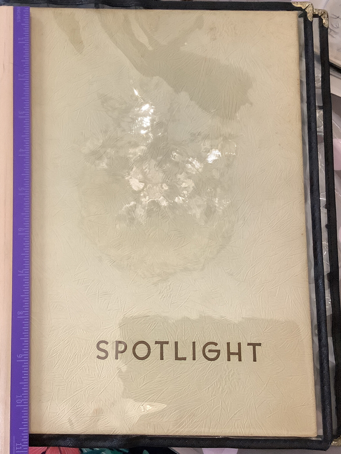 YEARBOOK Greenwich Village NYC “SPOTLIGHT” JULIA RICHMAN Girls HIGH ...