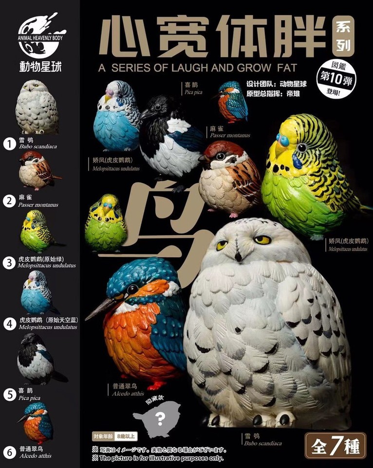 【In-Stock】Animal Heavenly Body Eurasian Magpie Pica pica Bird Statue | eBay