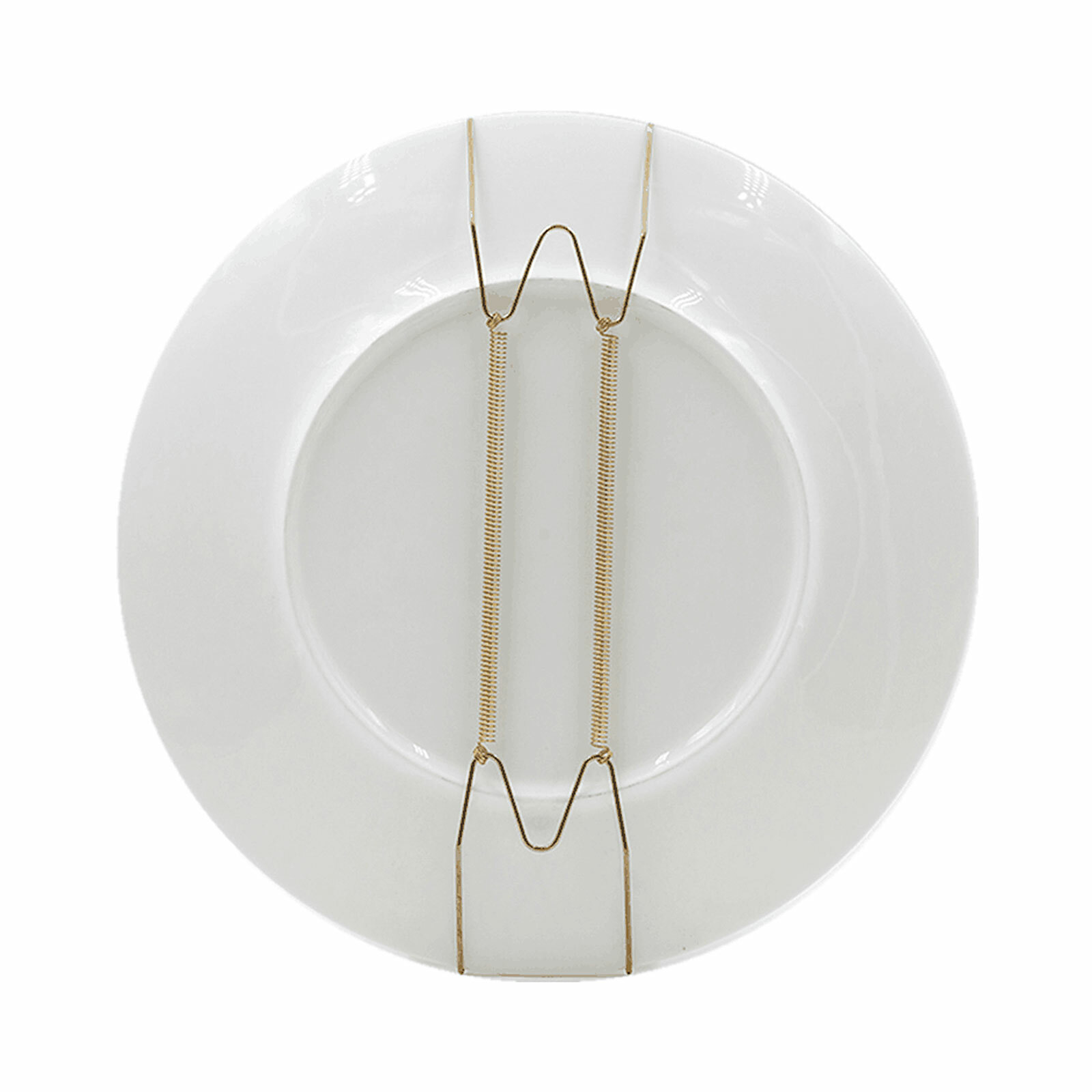 10/12pcs Golden Spring Plate Wire Hanger for 6"-16" Plates Display Wall ...