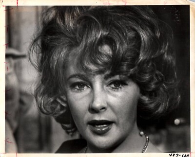 Elizabeth Taylor (1967) Vintage Hollywood Beauty Collectable Photo K ...