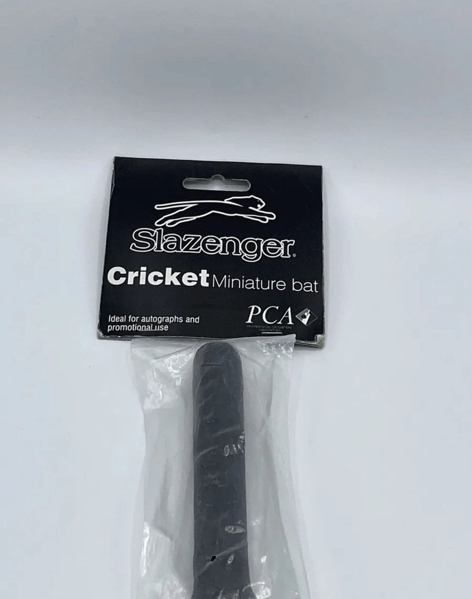 Slazenger Cricket Bats V 600