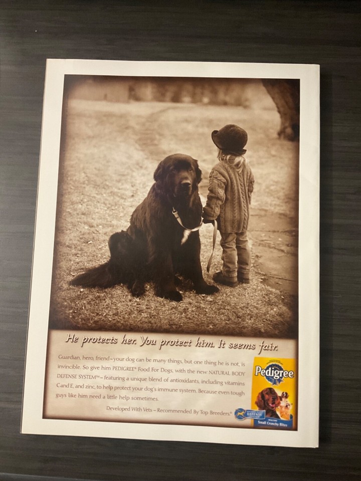 Bloodlines United Kennel Club Magazine PureBred PitBull Kennels June ...