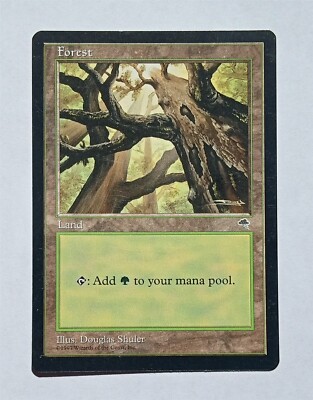 Magic MTG - Forest (Picture #4) - Tempest Basic Land 1997 - LP | eBay