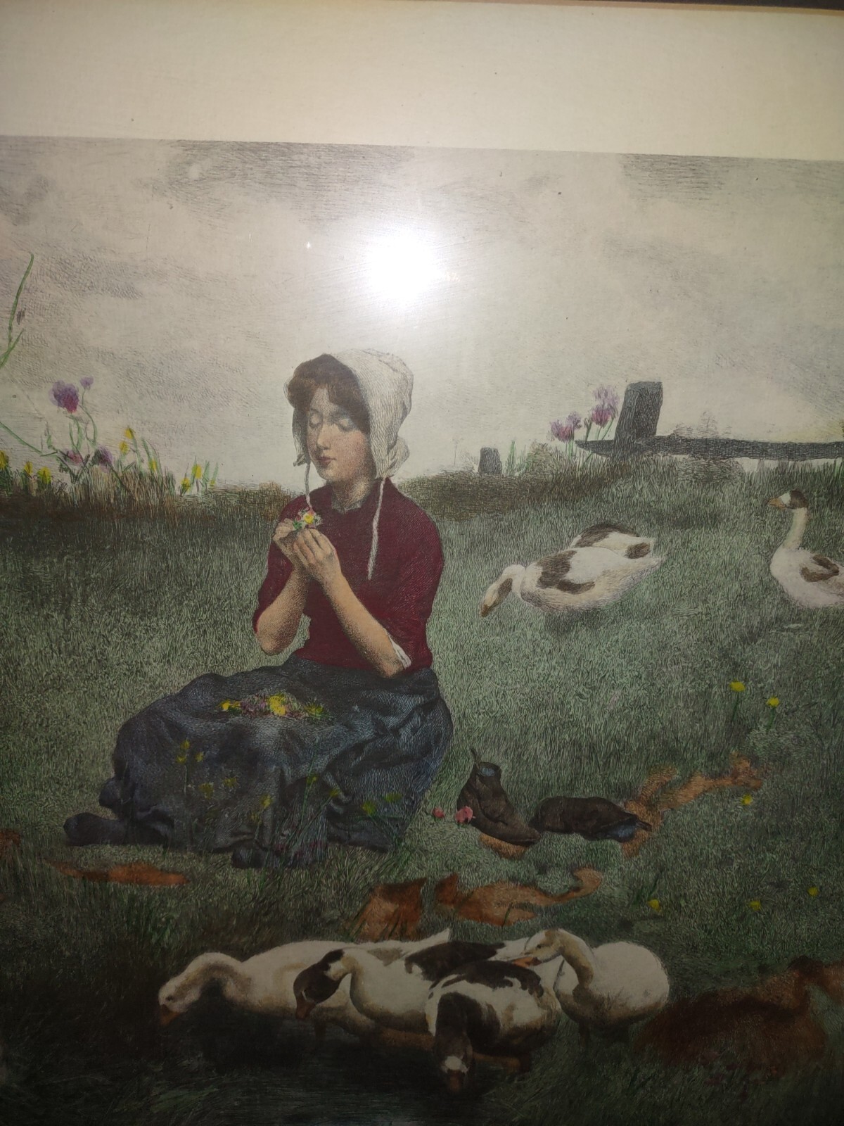 "Amidst Ducks: Tranquility in a Field - Etching by James S. King and ...