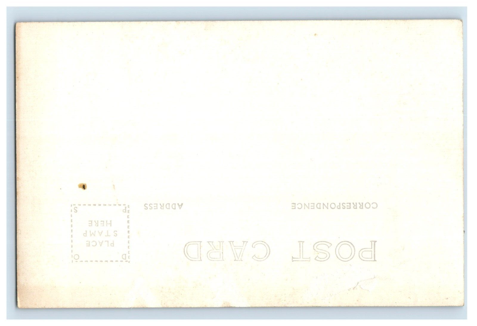 Vintage Mt. Hooo From Laurel Hill New York P203E | eBay