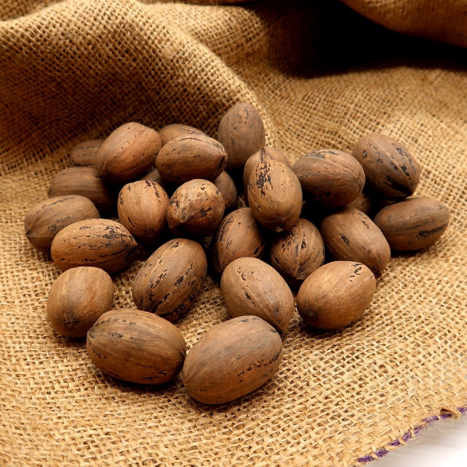 Whole Paper Shell Pecans by the pound | eBay