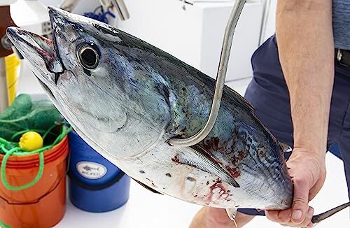 Gaffer Sportfishing Aluminum Fish Gaff With Sharp Stainless Steel ...