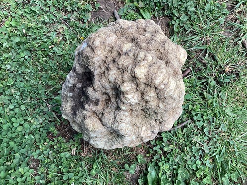 14 lb + Indiana Geode Crystals , Geode , minerals,fossil Jewelry ...