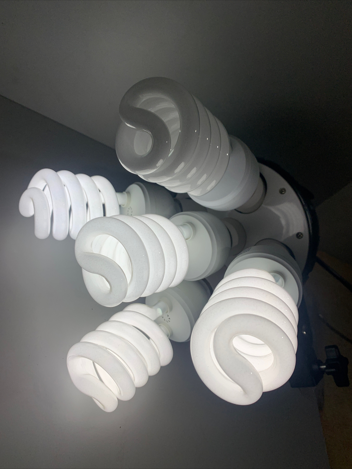 Interfit F5 Lamp | eBay