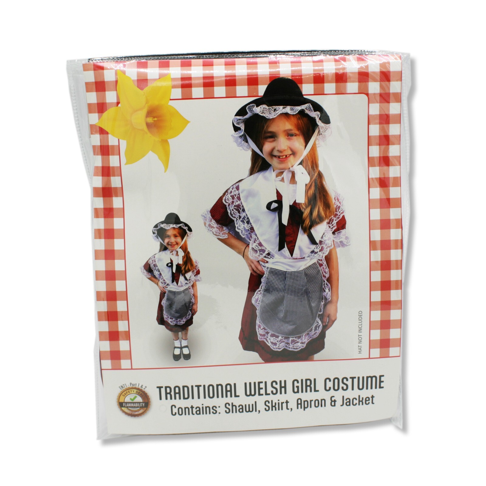 Welsh Girl Costume 5PCS Set - Dress & Bonnet Hat Complete Outfit St ...