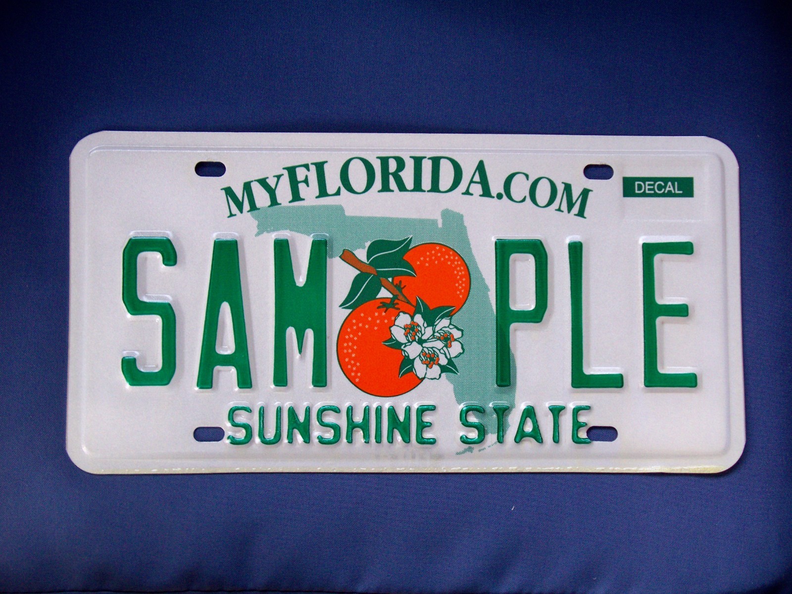 Florida Sunshine State Sample Two Oranges Brown Branch License Plate ...