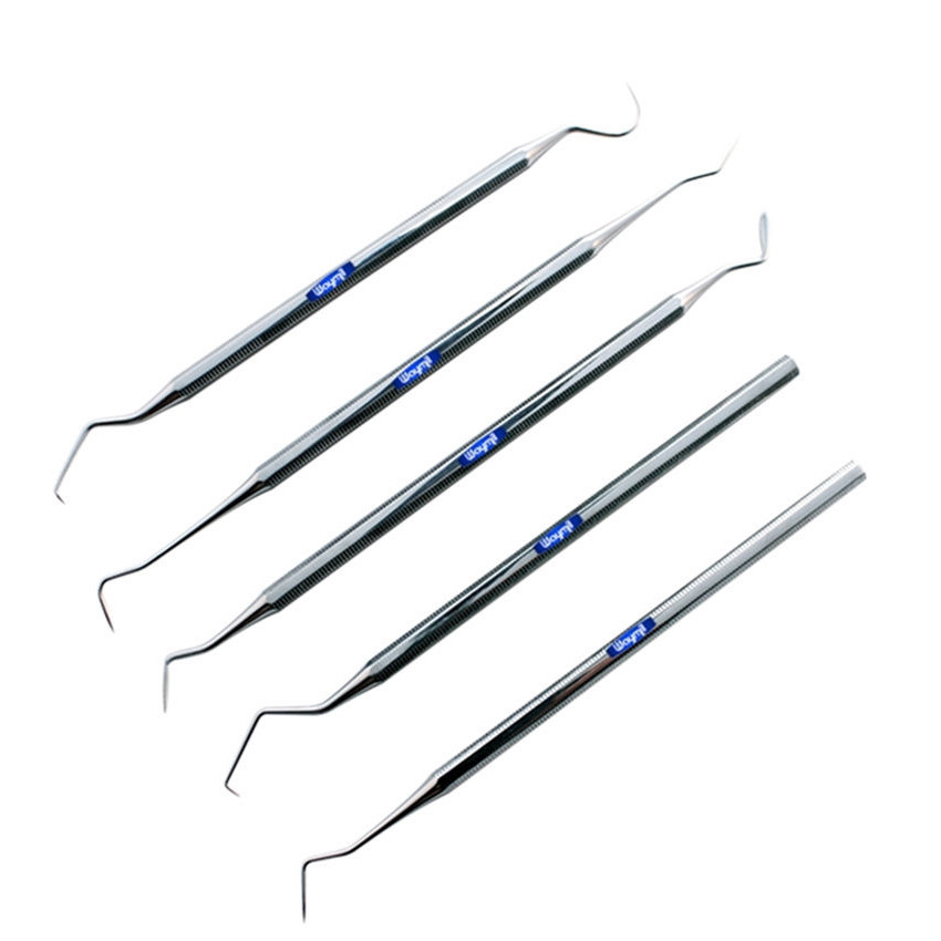 WAX PROBE CARVING SET 5 PCS JEWELRY DENTAL HYGIENE PICKS MODELING HOBBY ...