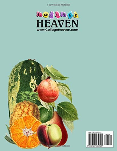 Collage Heaven The Cut Out And Collage Book Vintage Frui (Paperback ...