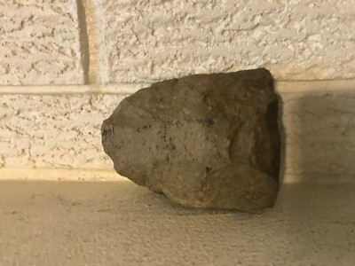 Neolithic & Paleolithic - Chopper Tool - Vatican