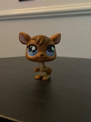 LPS Littlest Pet Shop #682 Brown/Tan Kangaroo w/Blue Eyes | eBay