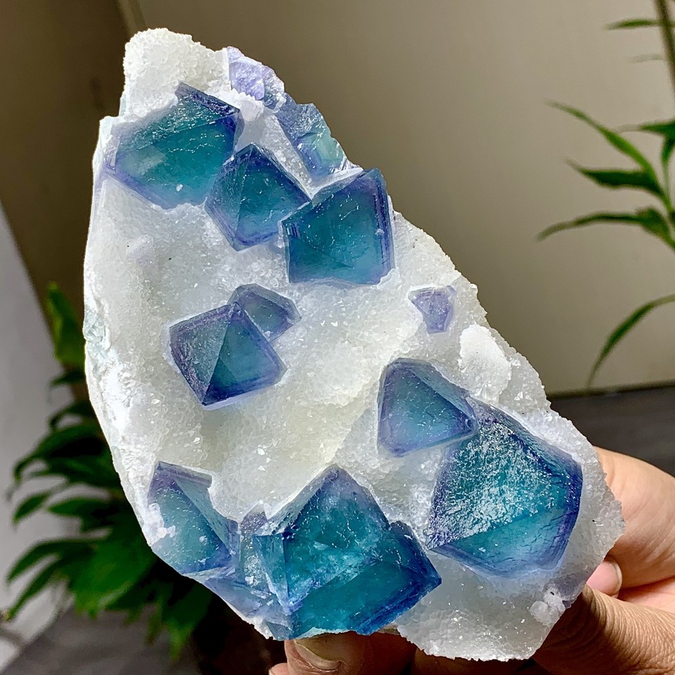 646G Natural purple green octahedral fluorite and crystal symbiosis ...