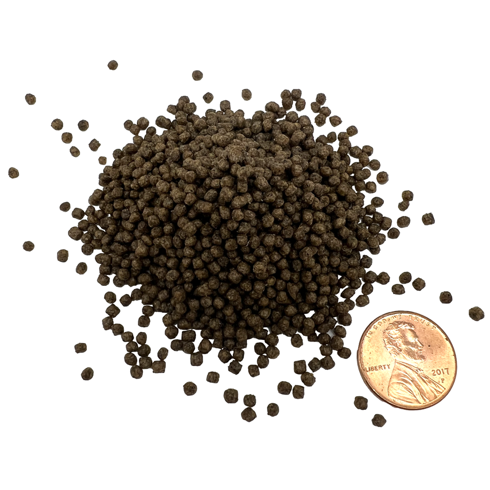 Simple Cichlid 2mm Medium Floating Pellets 50% Protein Premium Fish ...