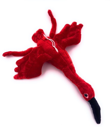 Plush Toy Cuddly Animal Fabric Animal Scarlet Ibis Red Bird 29 cm | eBay
