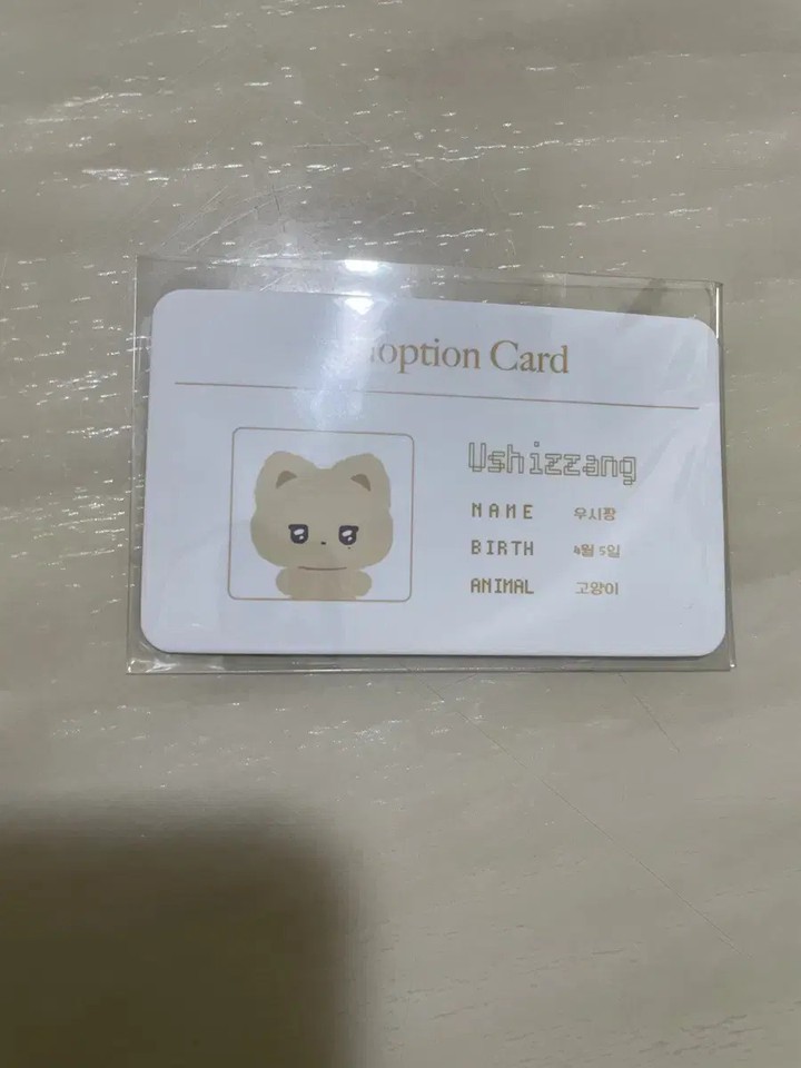 NCT WISH NWISH NCITY WISH YUSHI 10cm DOLL USHI-CHAN | eBay