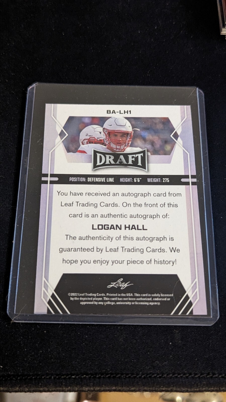 2022 Leaf Draft - Autographs Red #BA-LH1 Logan Hall, Logan Hall (AU, RC ...