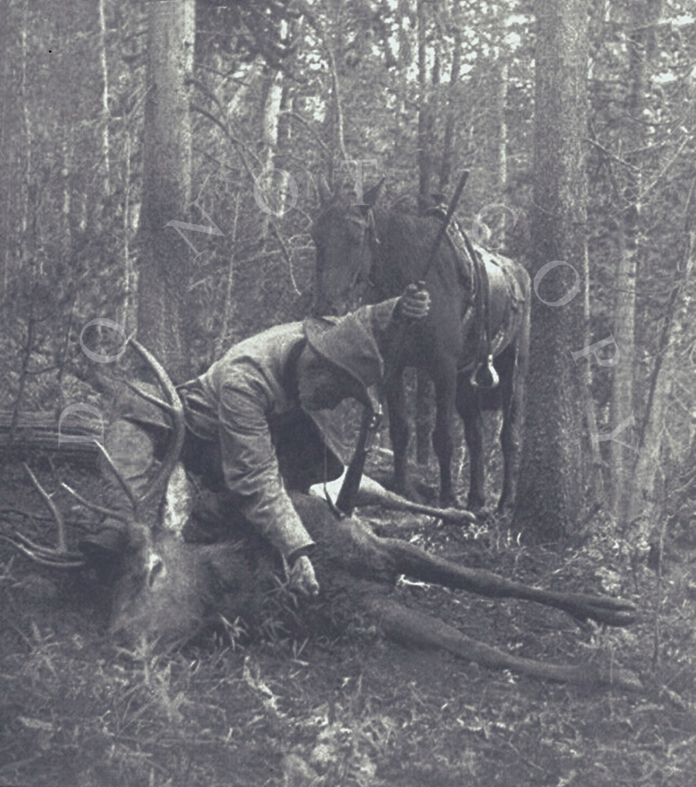 ANTIQUE EARLY PRE 1900 HUNTING REPRO 8X10 PHOTO ELK HUNTING RIFLE | eBay