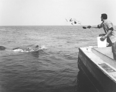 Jaws 1975 Roy Scheider Tossing Bloody Chum off Boat to Monster Shark ...