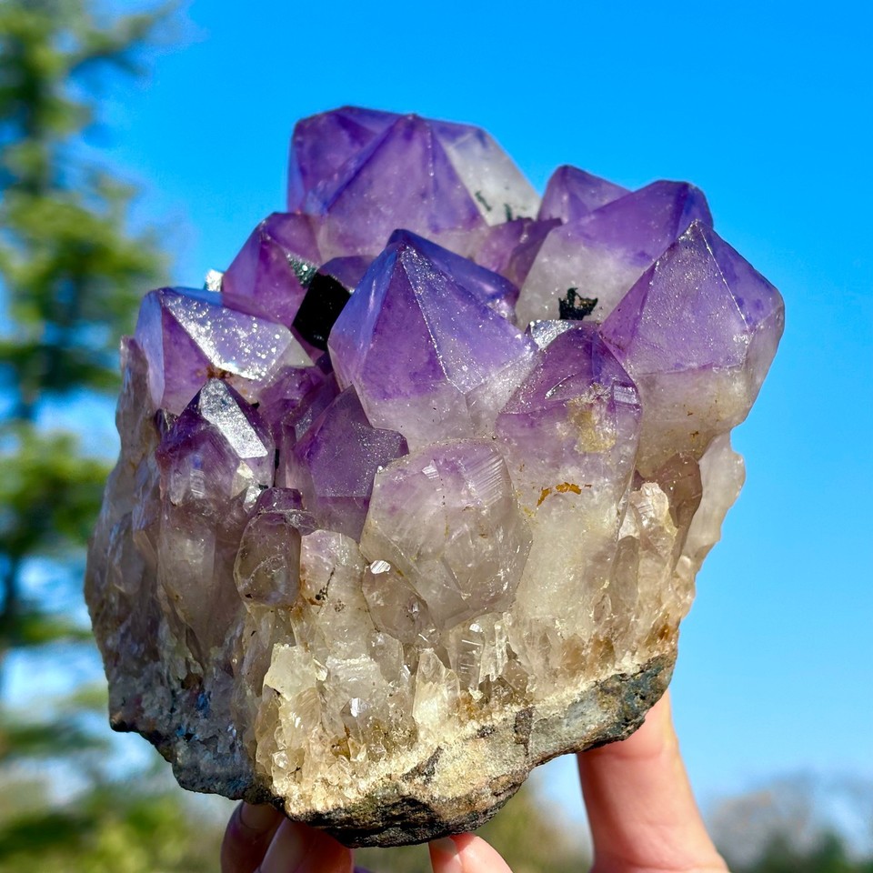 3.61LB Natural Amethyst Cluster Quartz Crystal Backbone Mineral ...