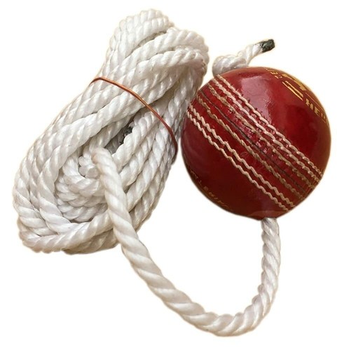 Tima Leather Cricket Shot Practice Hanging Ball, String Cricket Ball us ...