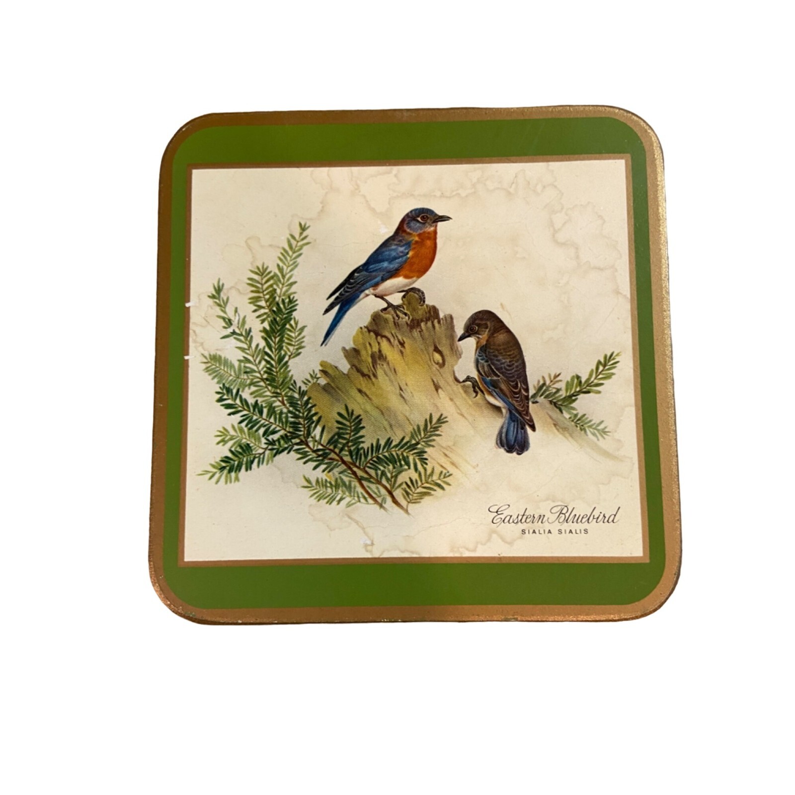 Vintage Pimpernel Songbirds Coasters Cork Back Coasters Set of 6 | eBay