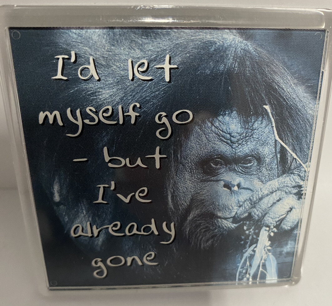 Refrigerator Magnet- I’d Let Myself Go- but I’ve Already Gone | eBay